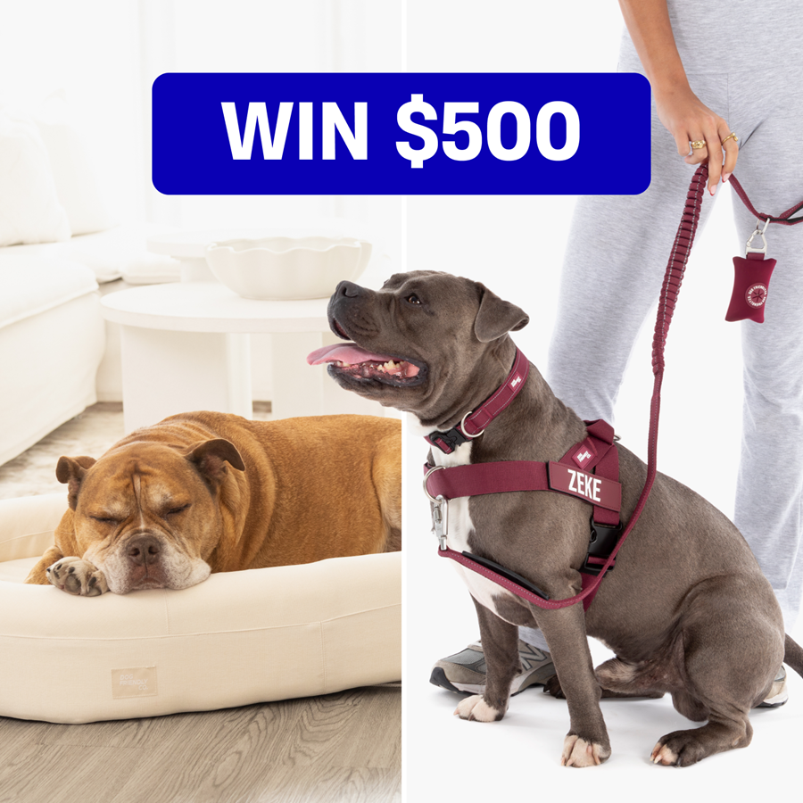 Roundup Sweepstakes « InfiniteSweeps